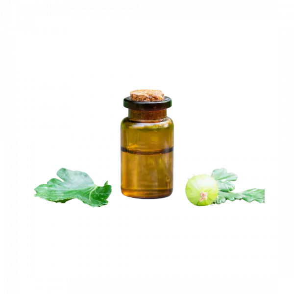 Amla Yağı | Ab-ı Şifa Doğal Ürünler